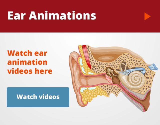 Patient Education | Michigan Ear Institute